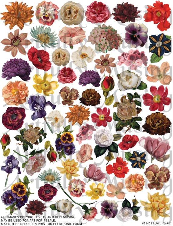 Flowers 2 Botanical Collage Sheet Digital Printable | Etsy