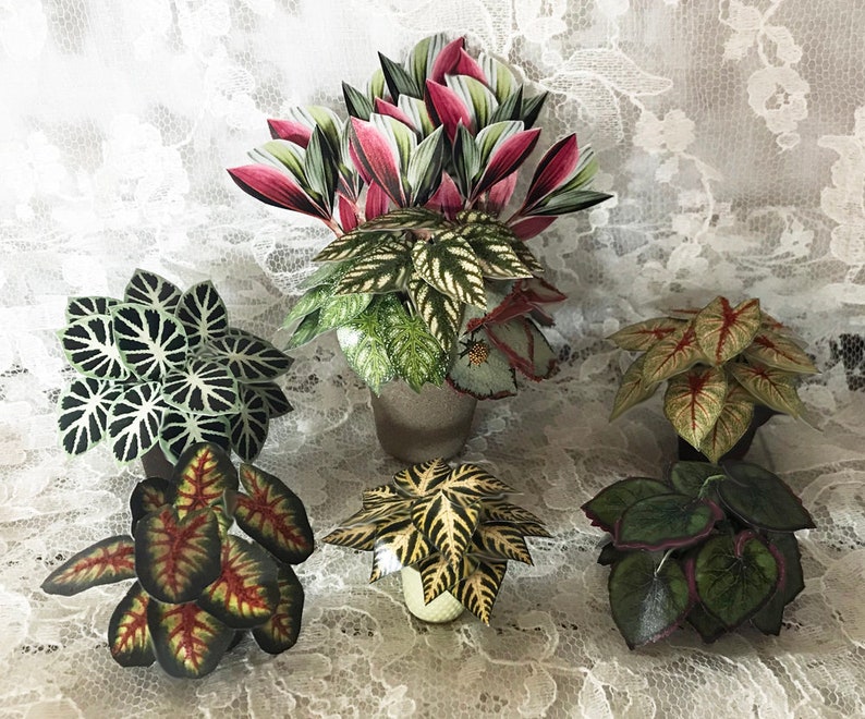 Miniature Leaves 45 Separate Images Digital Image Set Clip - Etsy Canada