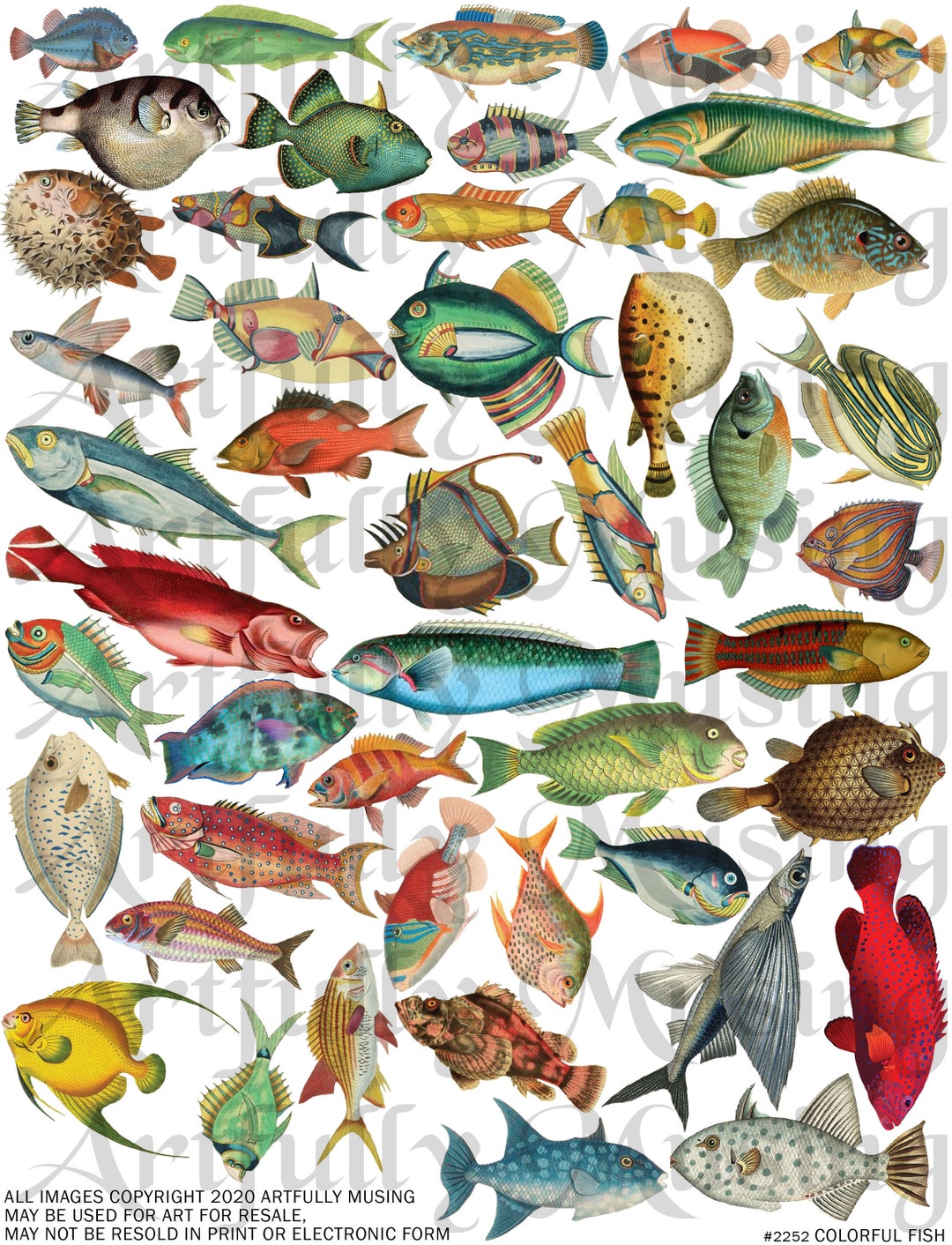 COLORFUL FISH Collage Sheet- Digital Printable - Instant Download (2252 ...