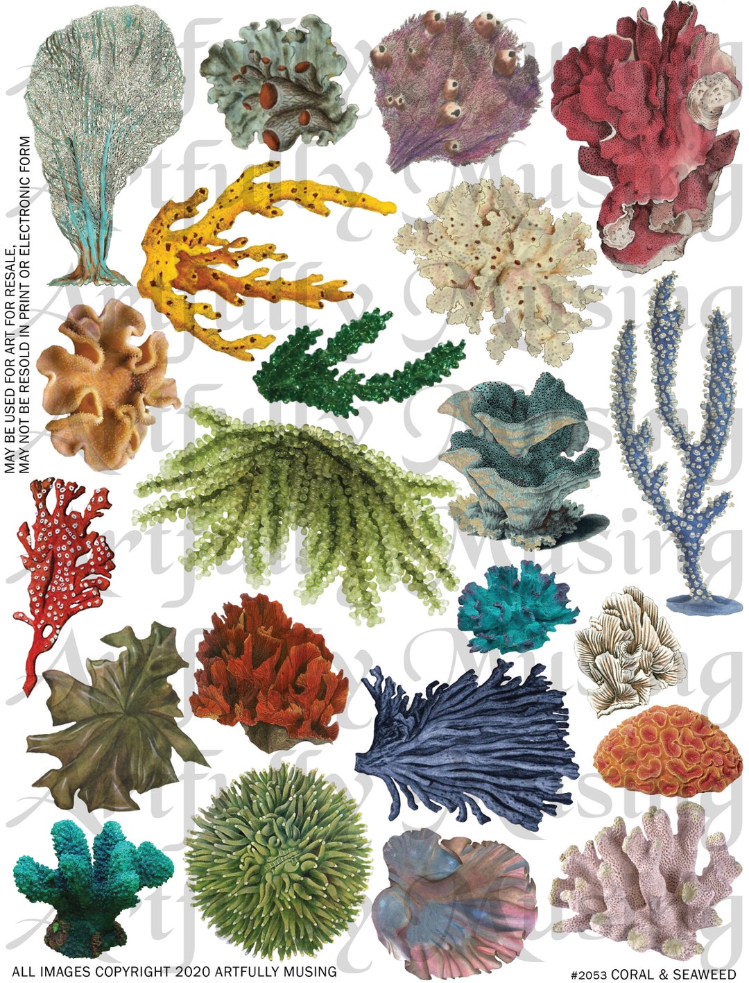CORAL & SEAWEED Collage Sheet- Digital Printable - Instant Download ...