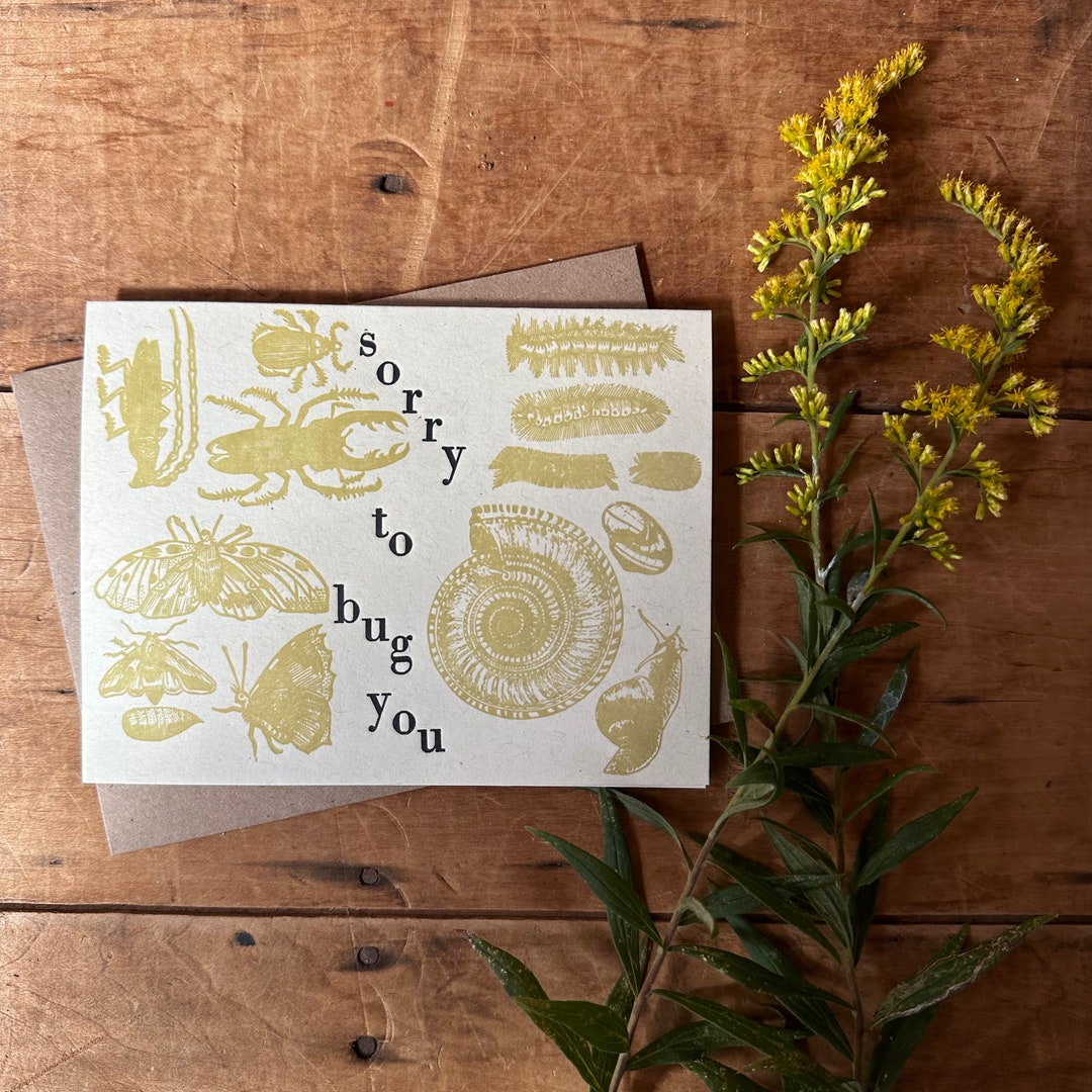 Sorry to Bug You - Letterpress Friendship Card, Insects Snails Beetles ...