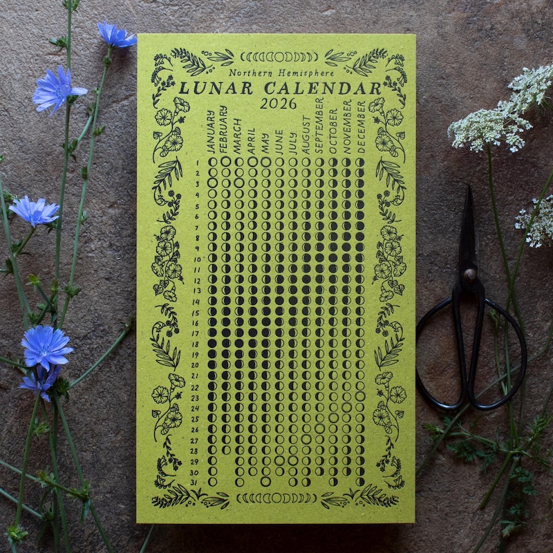 2026 Wall Calendar Bugs - Etsy