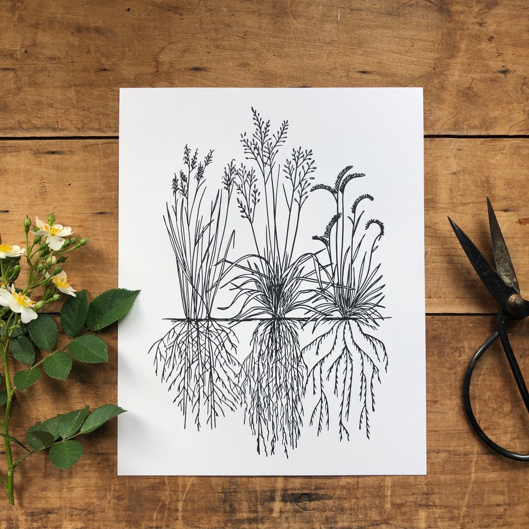 Native Grasses Letterpress Art Print - Etsy