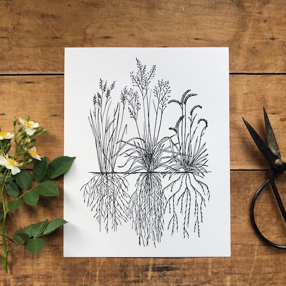 Native Grasses Letterpress Art Print - Etsy