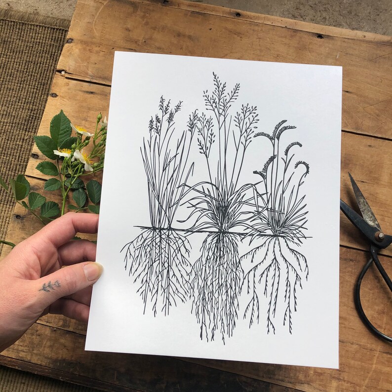Native Grasses Letterpress Art Print - Etsy