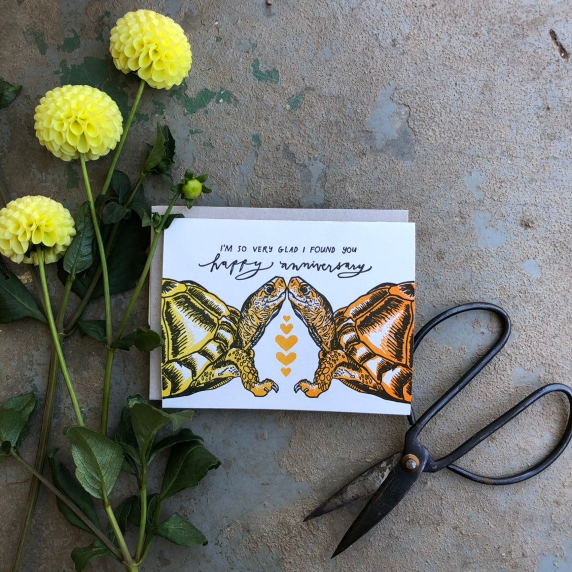 Turtle Anniversary Card - Letterpress Printed - Etsy
