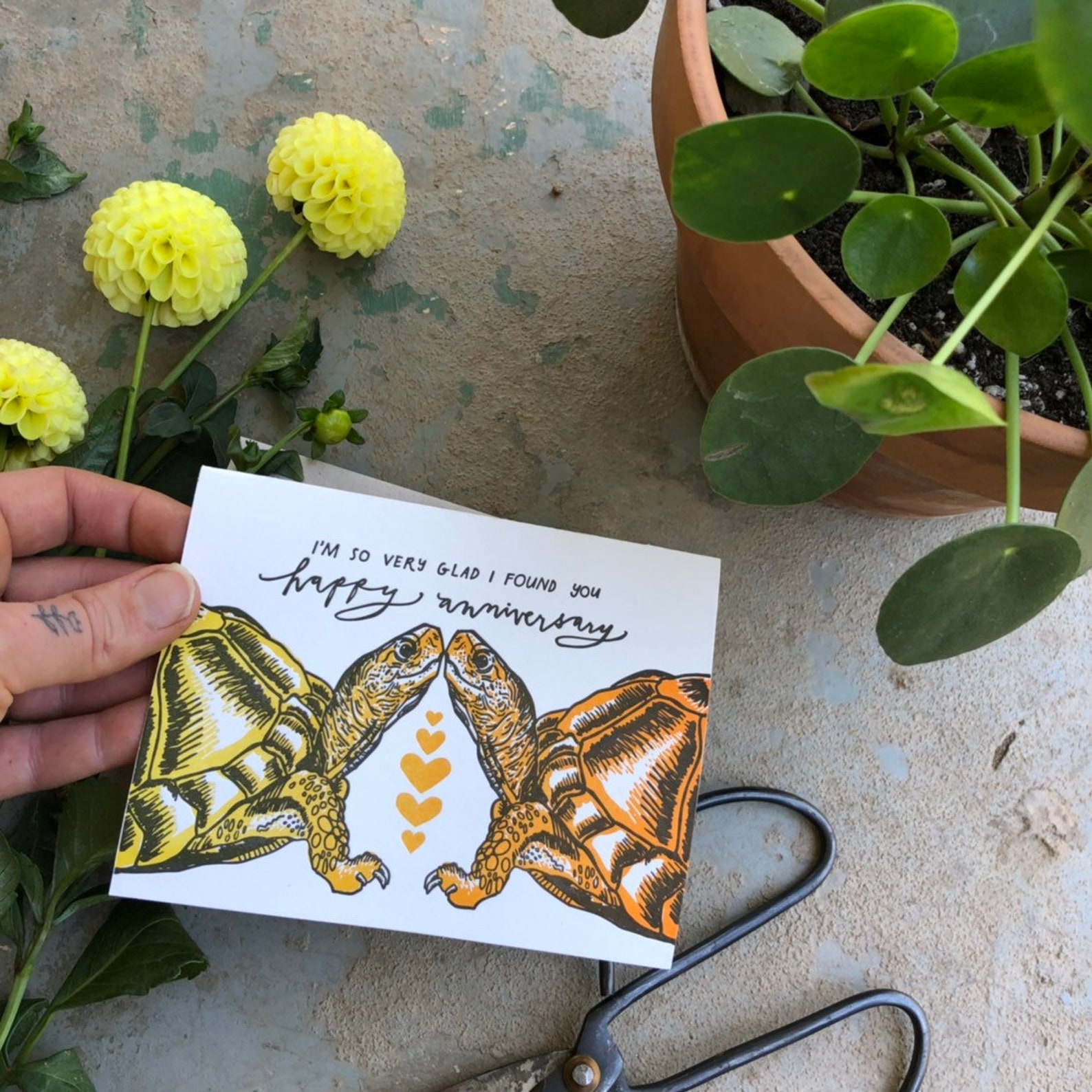 Turtle Anniversary Card - Letterpress Printed - Etsy