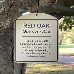 Custom Engraved Acrylic Tree Plaque | Personalized Garden Marker - Etsy