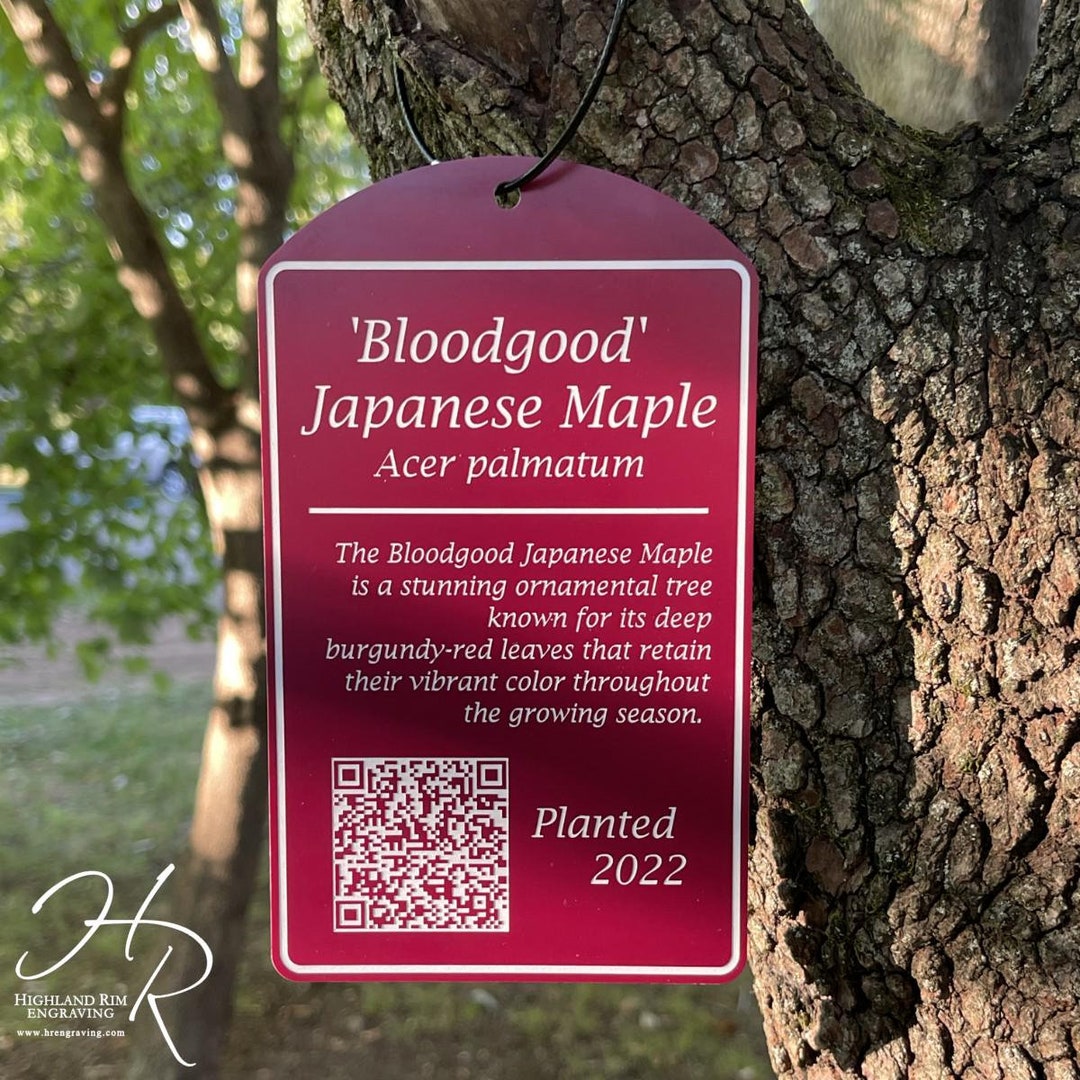 All Weather Tags for Trees or Shrubs | Custom Engraved UV Resistant ...