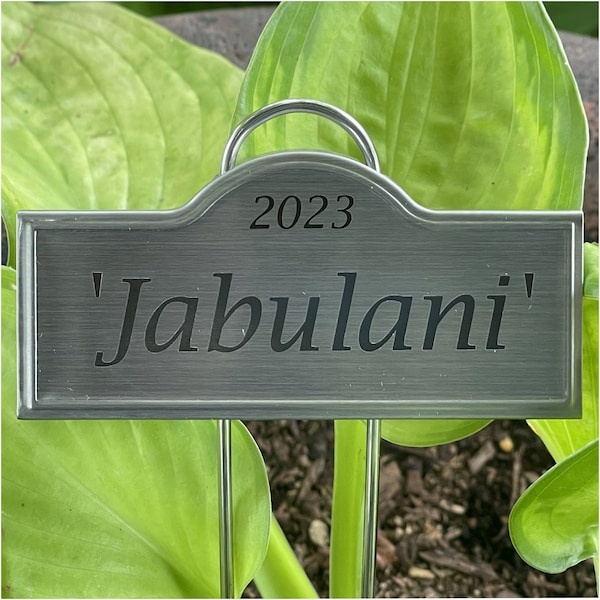 Plant Labels - Etsy