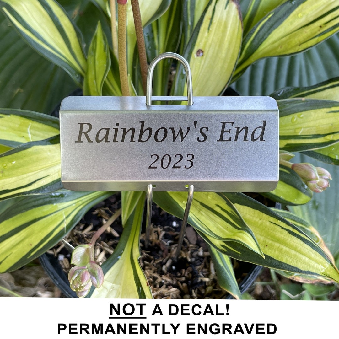 Set of 12 Custom Plant Markers, Laser Engraved Tags, Rose Stake Label ...