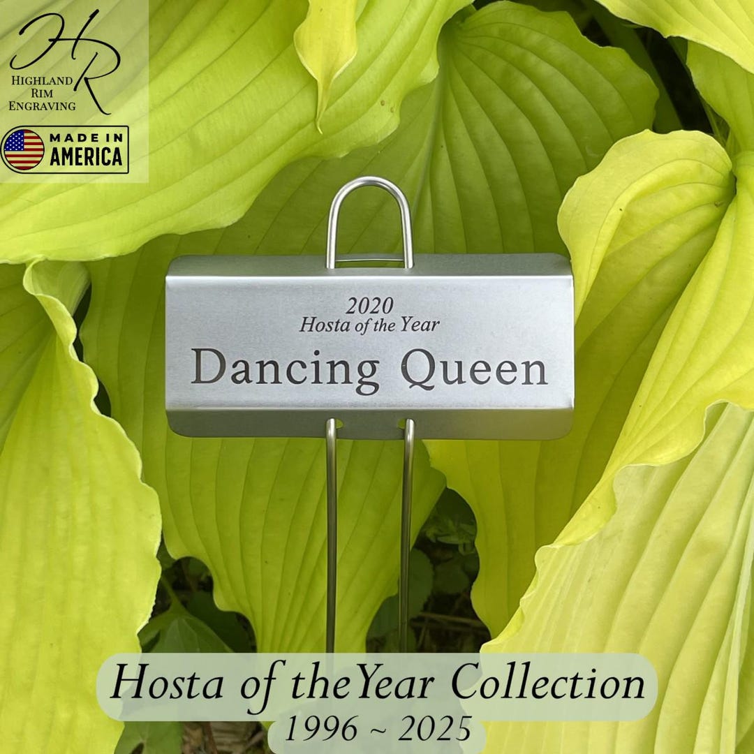 Hosta of the Year Plant Marker, Stainless Steel Garden Tag - Etsy
