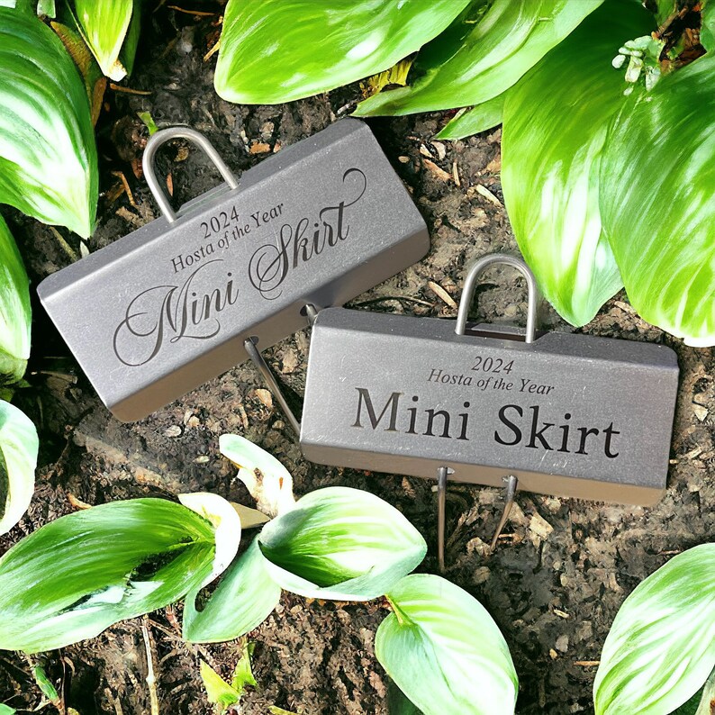 Hosta of the Year Plant Marker, Stainless Steel Garden Tag - Etsy
