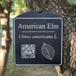 All Weather Tags for Trees or Shrubs | Custom Engraved UV Resistant ...