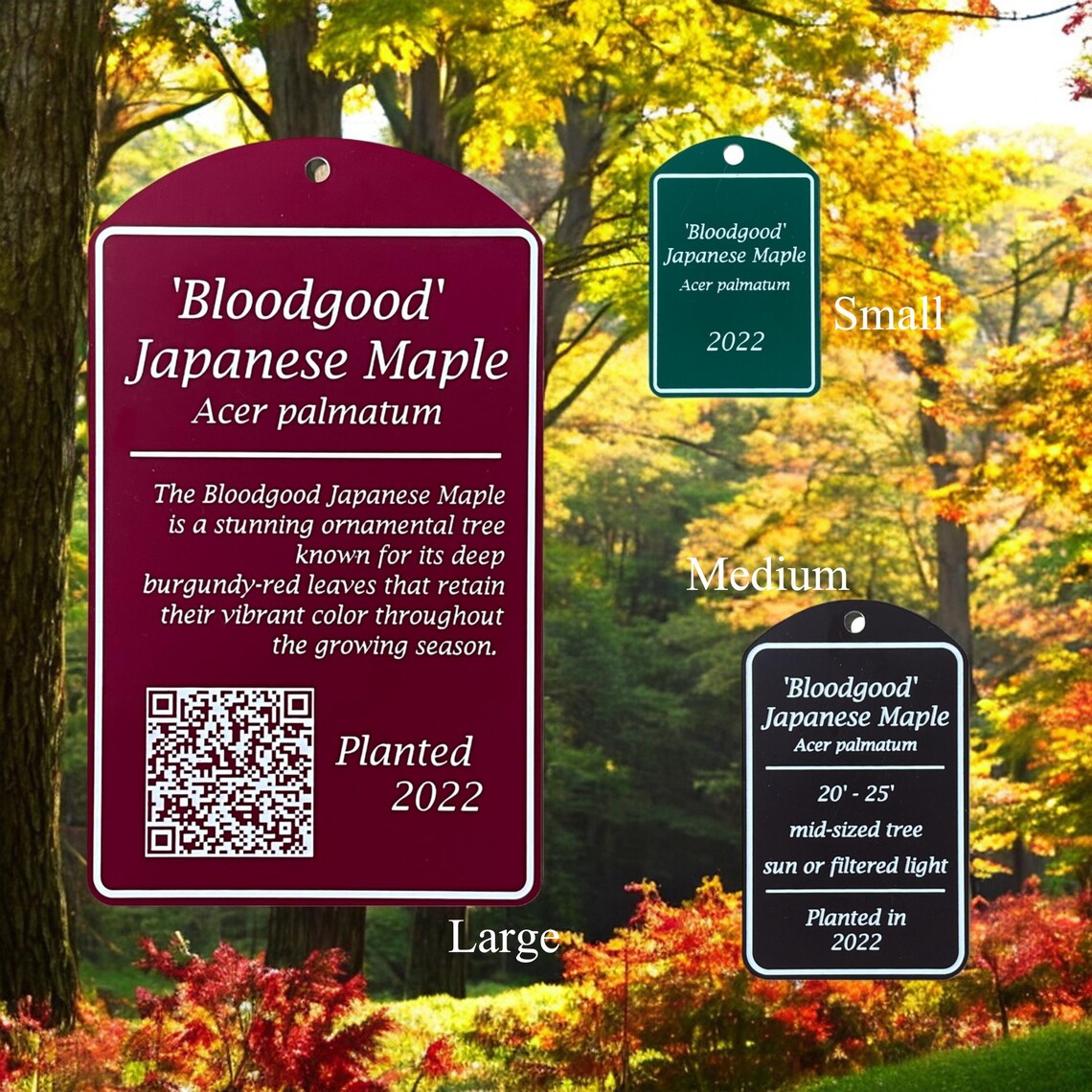 Custom Engraved Acrylic Tree Plaque | Personalized Garden Sign ...