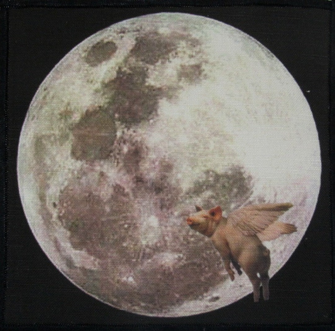MOON PIG - Medium - Isnt This Supposed to Be a Cow - Printed Sew on ...
