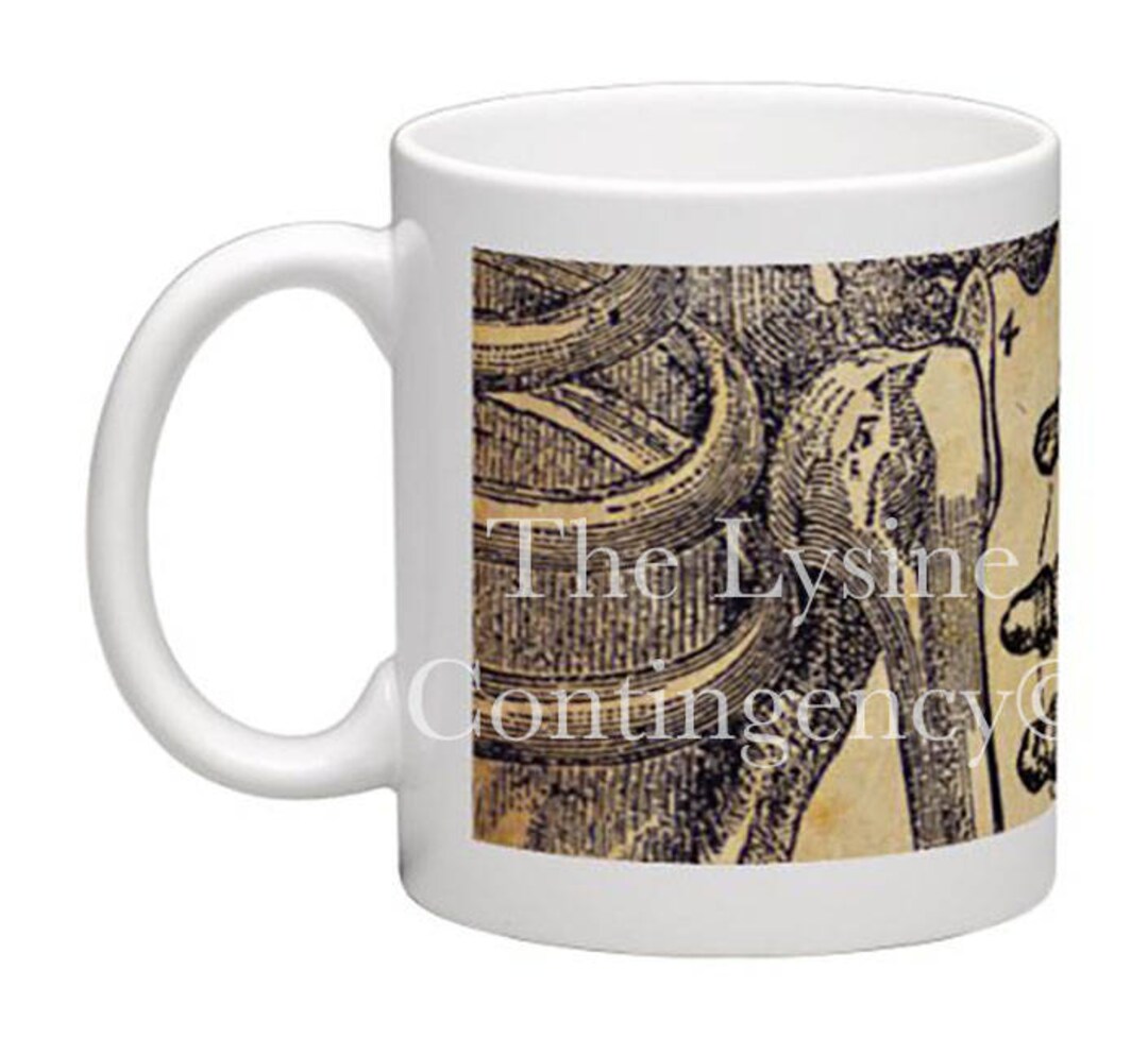 Anatomical Skeleton Coffee Mug Anatomy Kitchen Anatomy - Etsy