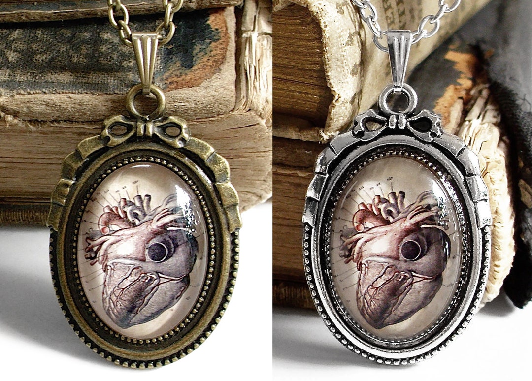 Anatomical Heart Necklace - Antique Anatomy Print Pendant W/ Chain in ...