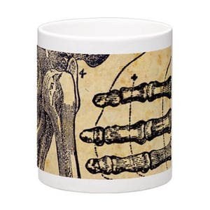 Anatomical Skeleton Coffee Mug - Anatomy Kitchen - Anatomy Shoulder and ...
