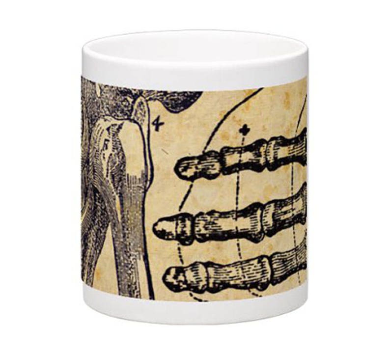 Anatomical Skeleton Coffee Mug Anatomy Kitchen Anatomy - Etsy