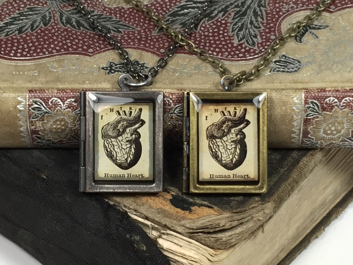 Anatomical Heart Locket in Bronze or Gunmetal Gray Antique - Etsy