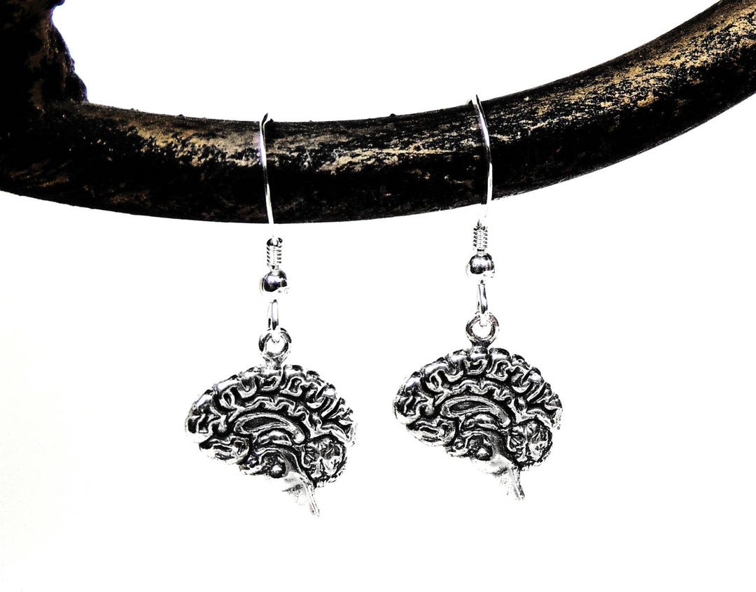 Brain Earrings - Brains - Anatomical Brain Earrings in Silver - Anatomy ...