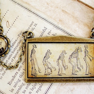 Darwin Necklace - Evolution Pendant in Bronze or Silver Finish ...