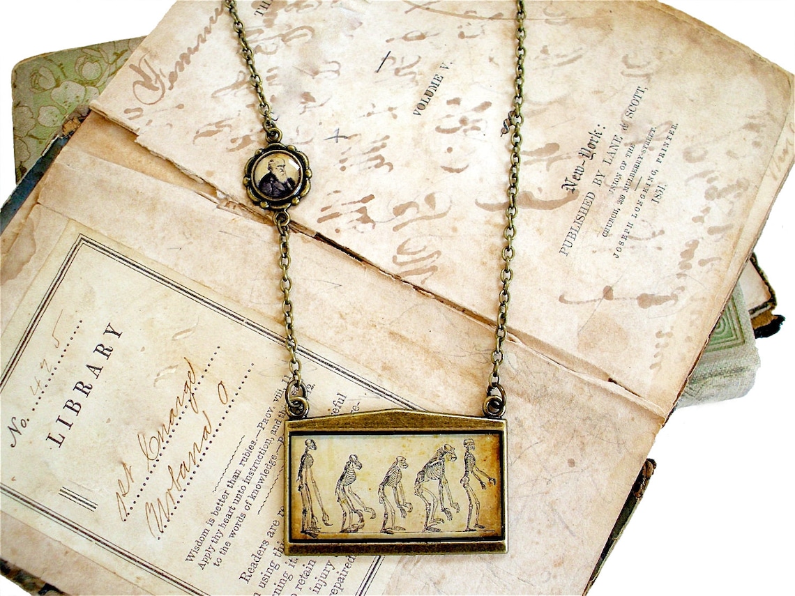 Darwin Necklace - Evolution Pendant in Bronze or Silver Finish ...
