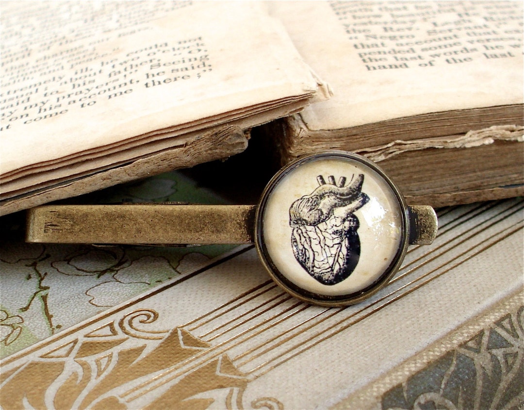Anatomical Heart Tie Clip - Anatomy Tie Bar in Bronze or Silver Finish ...