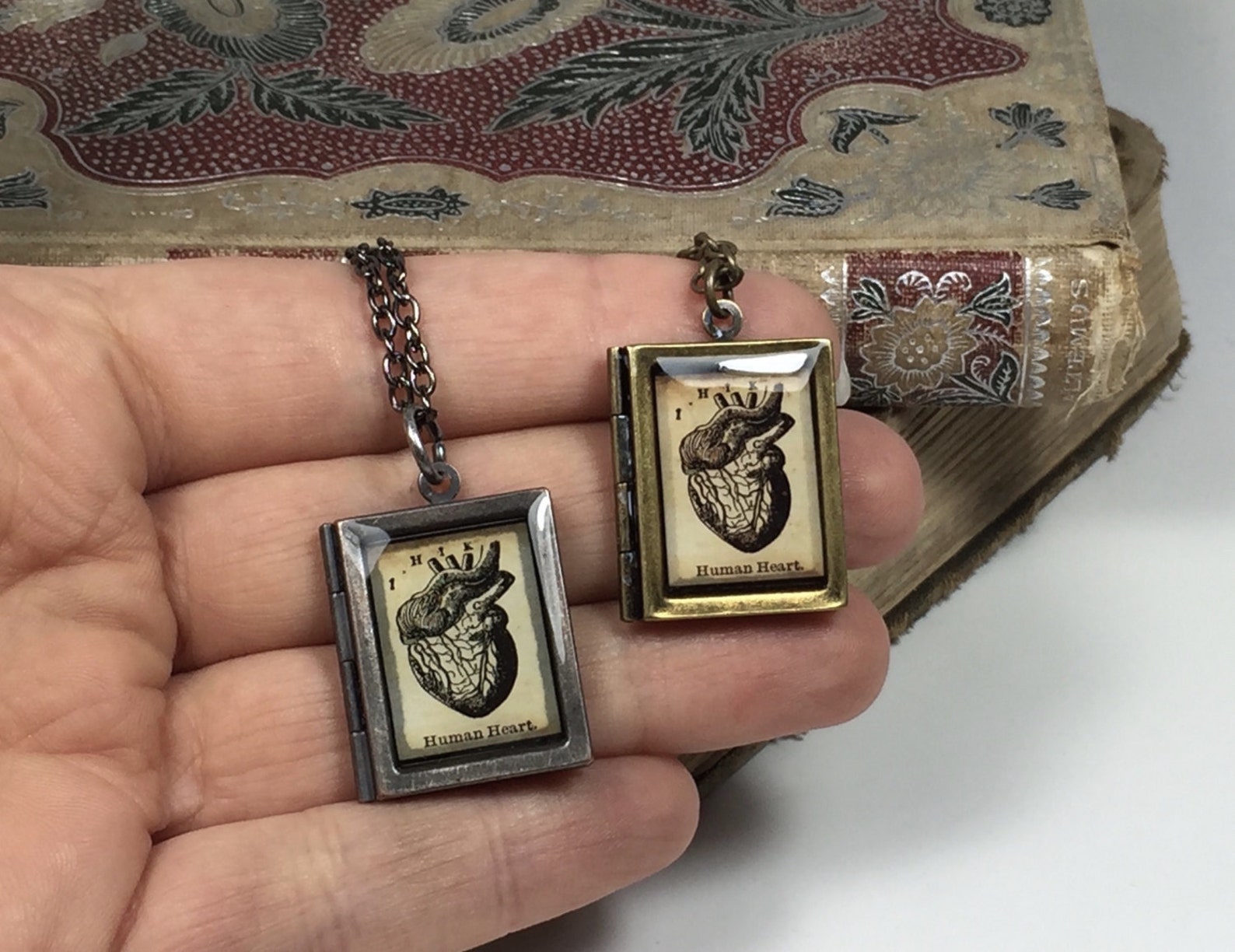 Anatomical Heart Locket in Bronze or Gunmetal Gray Antique - Etsy