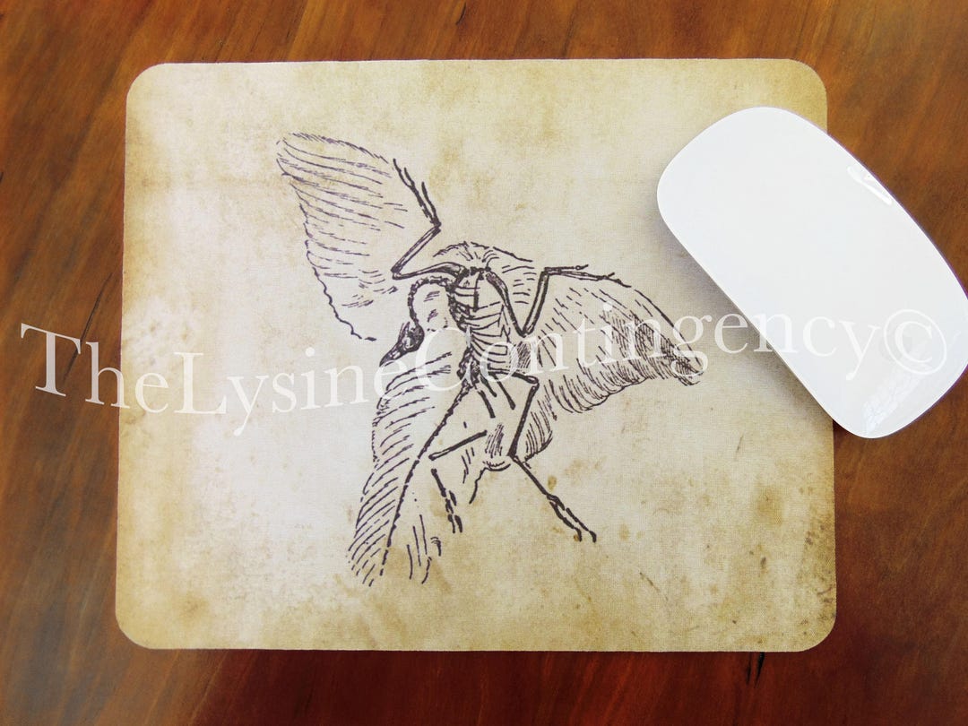Dinosaur Mousepad Archaeopteryx Fossil - Etsy