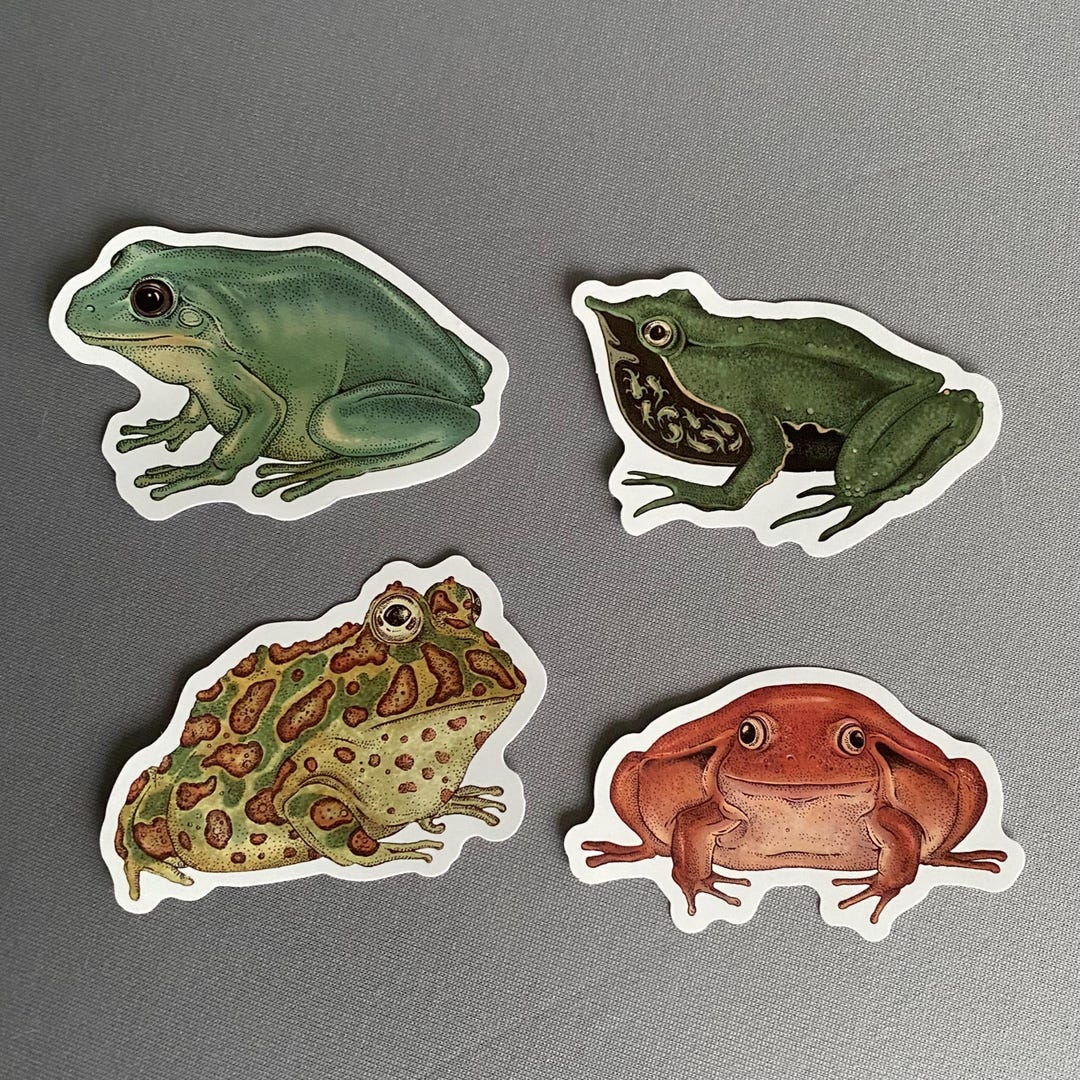 Fabulous Frogs - Frog Sticker Pack - Realistic Frogs - All Four ...