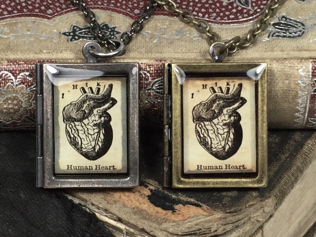 Anatomical Heart Locket in Bronze or Gunmetal Gray - Antique Anatomy ...