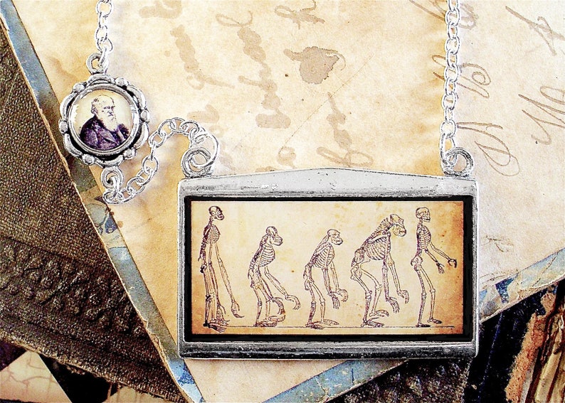 Darwin Necklace - Evolution Pendant in Bronze or Silver Finish ...