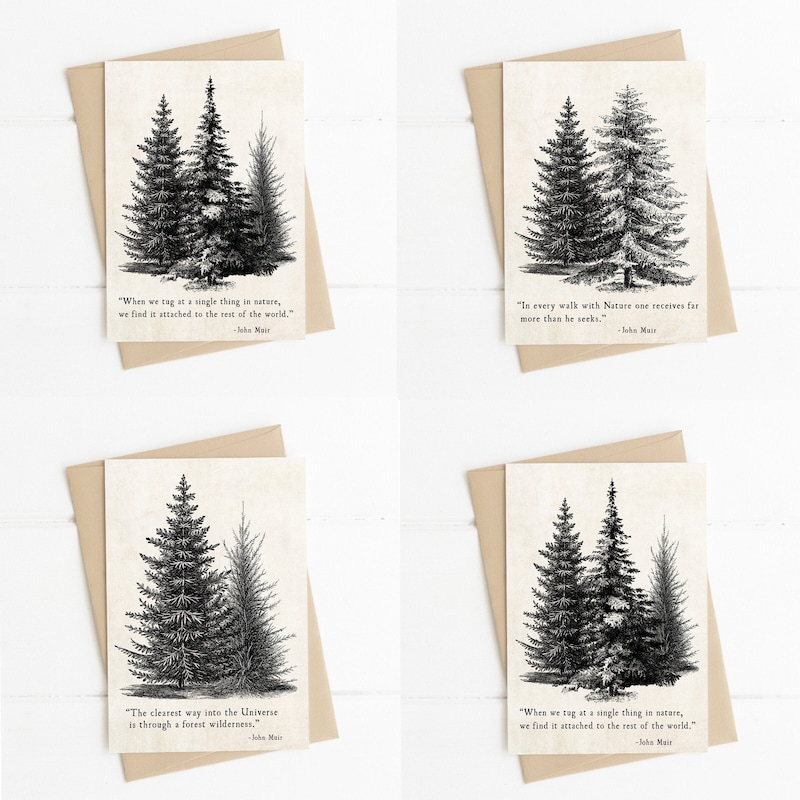 John Muir Quote - Etsy