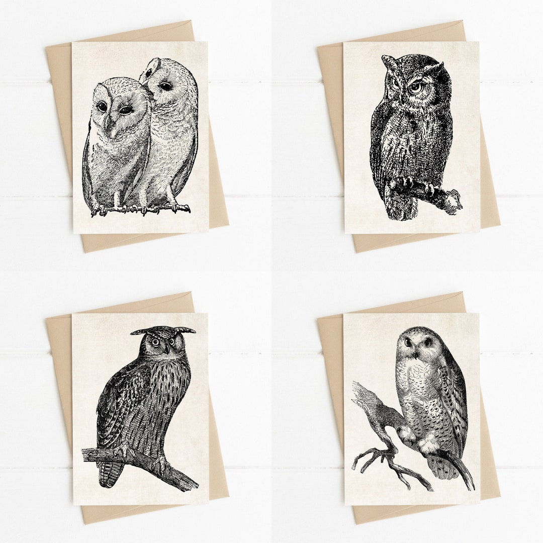 Owls Note Cards, Owl Art Stationery, Set of 4 Cards With Kraft ...