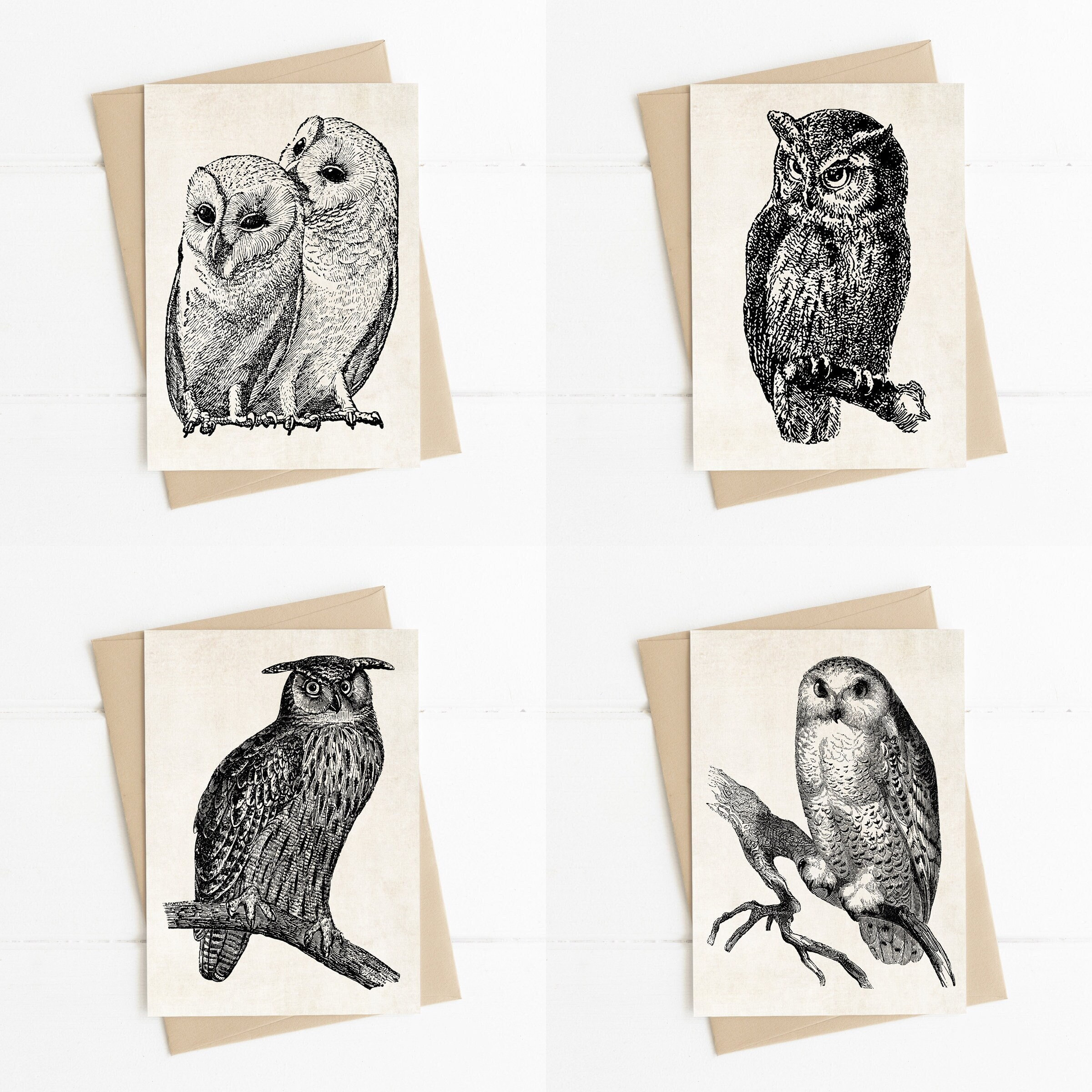 Owls Note Cards Owl Art Stationery Set of 8 Card With | Etsy