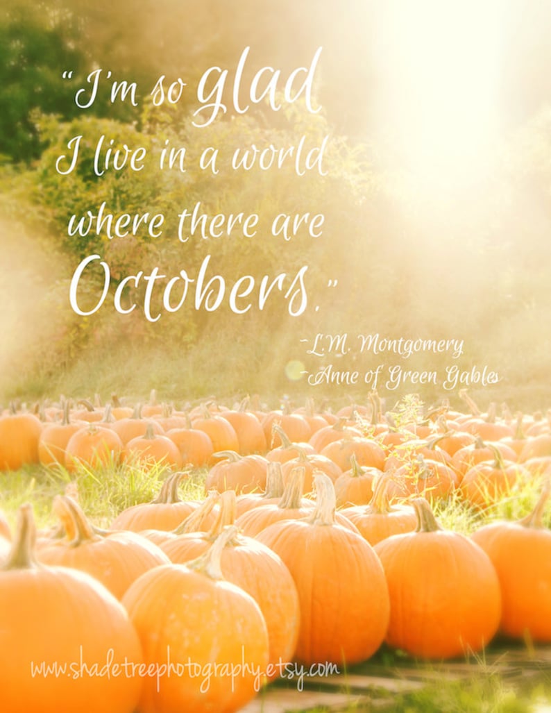 Pumpkins Orange Autumn Fall Colors October Whimsical Quote | Etsy