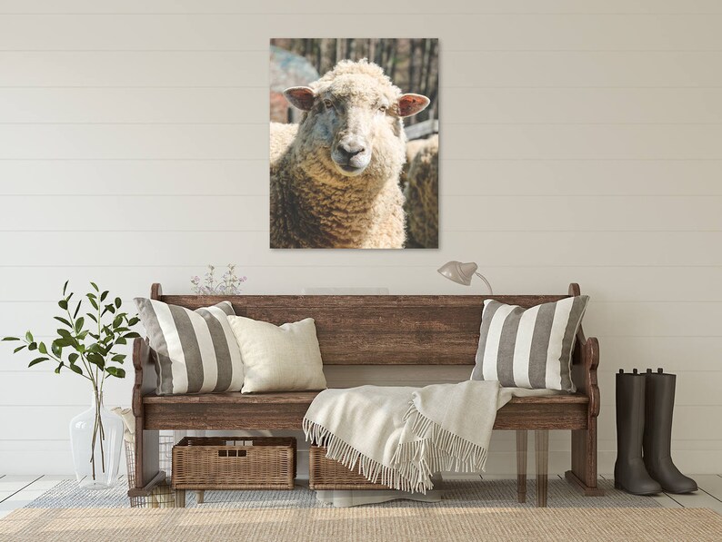 Sheep Art Print Sheep Wall Art Sheep Photo Art Sheep - Etsy