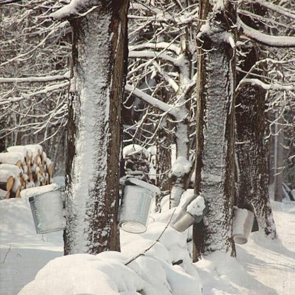 Maple Syrup Bucket - Etsy