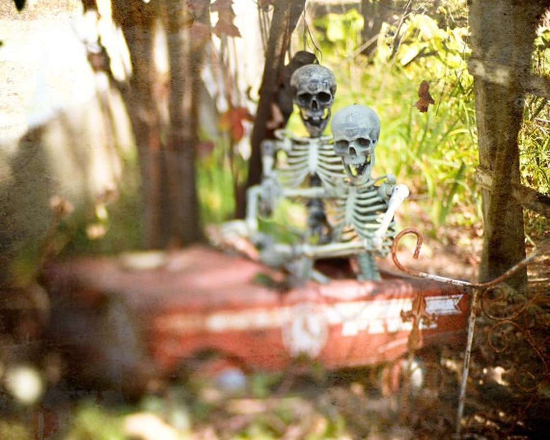 Halloween Skeletons Bones Spooky Scary Dark Photography Pumpkins Trick ...