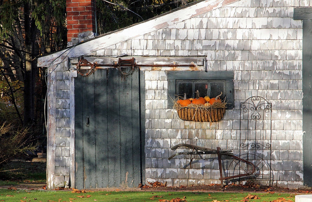 Fall Autumn Garden Shed Rustic Shed Pumpkins October Green Orange White ...