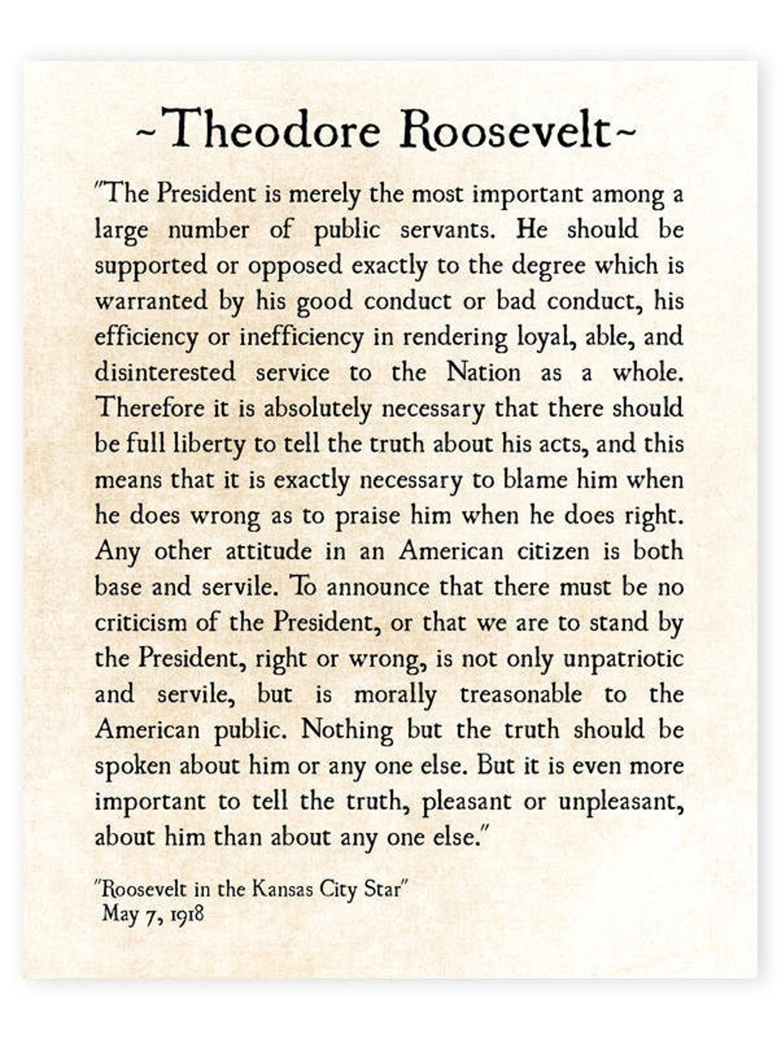 Theodore Roosevelt Speech Quote Teddy Roosevelt Quote - Etsy