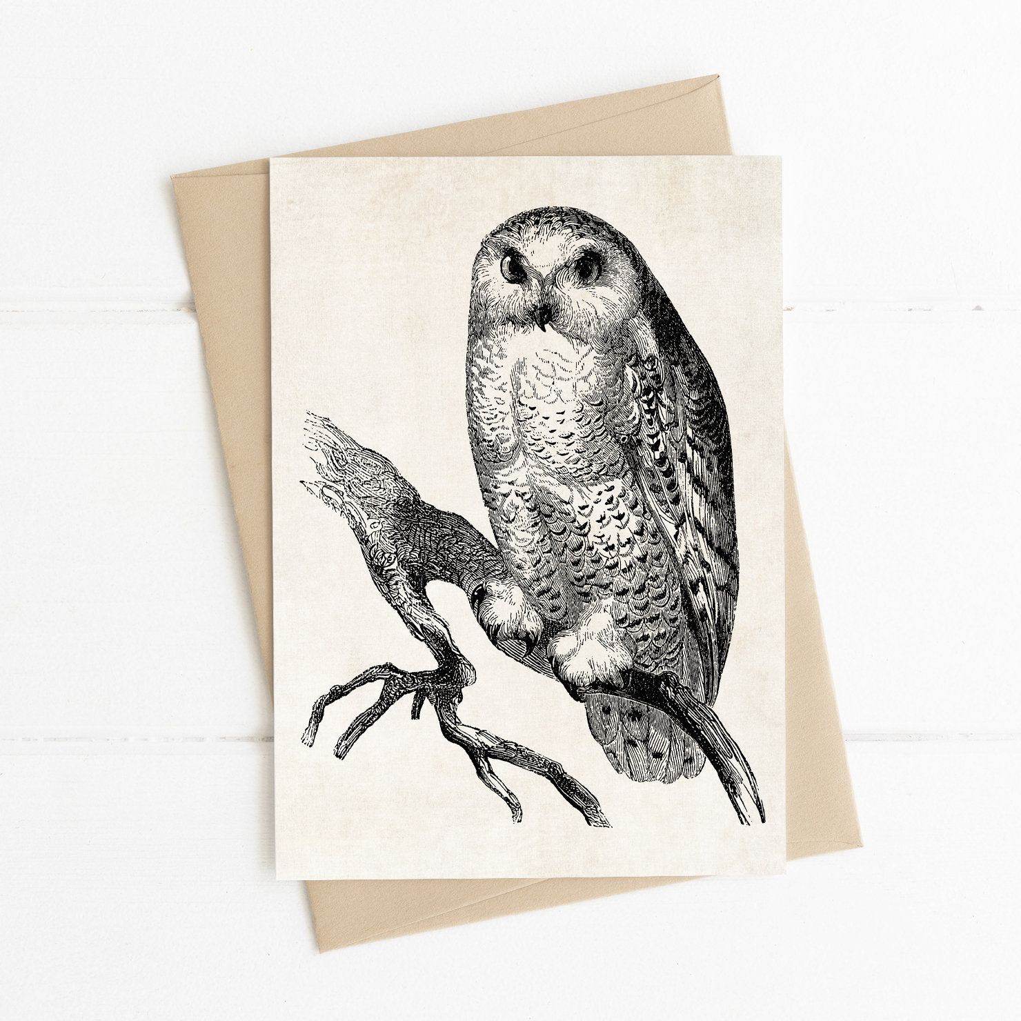 Owls Note Cards Owl Art Stationery Set of 8 Card With | Etsy