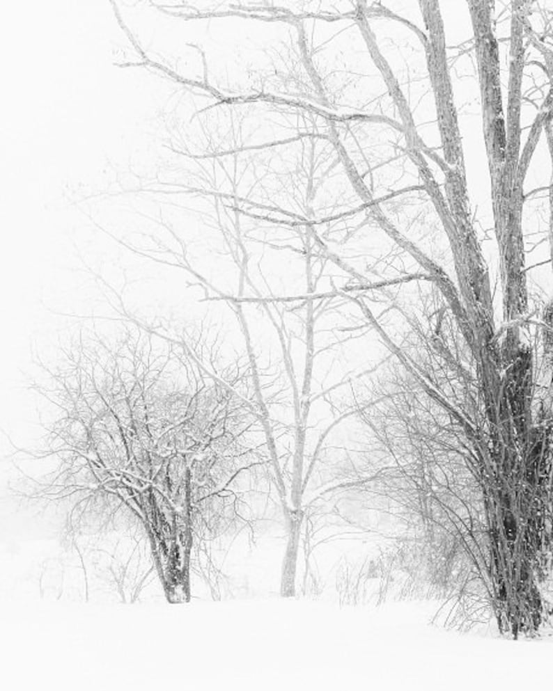 Winter Landscape Snowy Trees Lace Minimal Rustic White Gray - Etsy