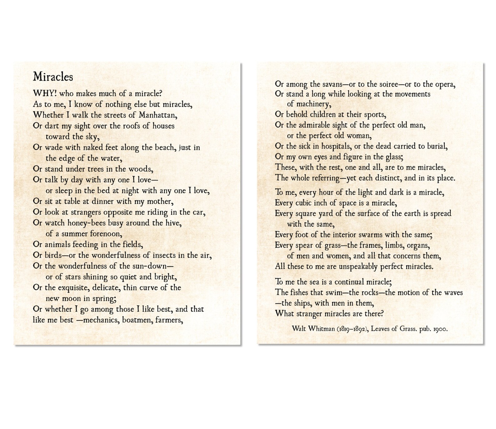 Walt Whitman Quote Art Print Miracles Poem Leaves of Grass - Etsy