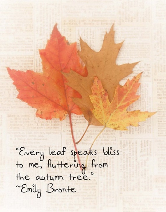 Autumn Poems And Quotes