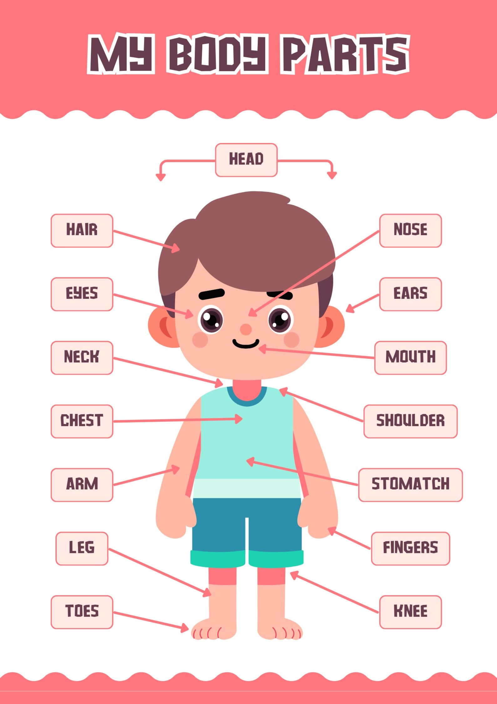 Human Body Parts Poster for Kids, Educational Anatomy Wall Art (digital ...