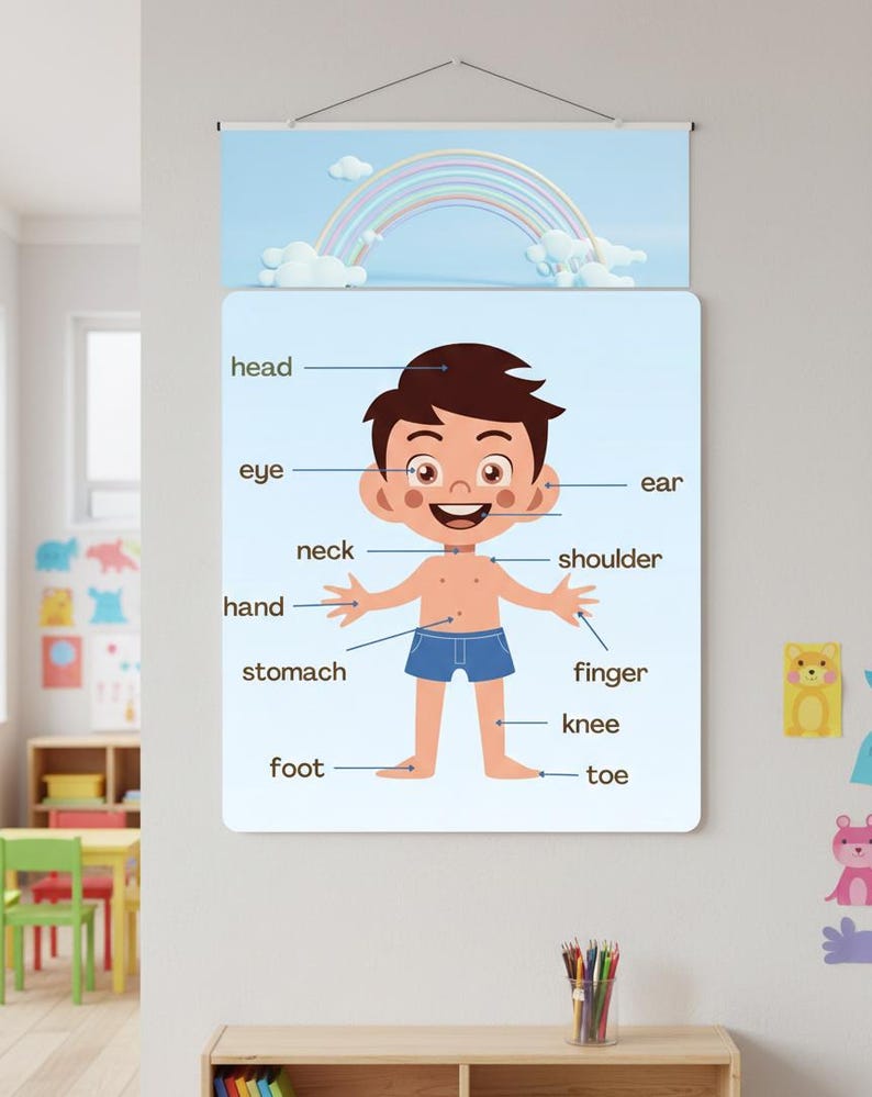 Kids Anatomy Poster, My Body Parts Learning Decor (digital Download A4 ...