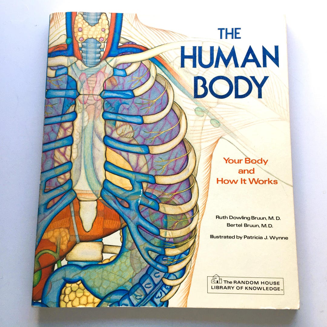 The Human Body, Anatomical Line Drawings, Softcover Reference Book - Etsy